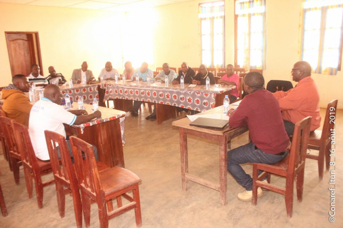 POLITIQUE ET LOI FONCIERE EN RDC : Une démarche en pleine expansion ...