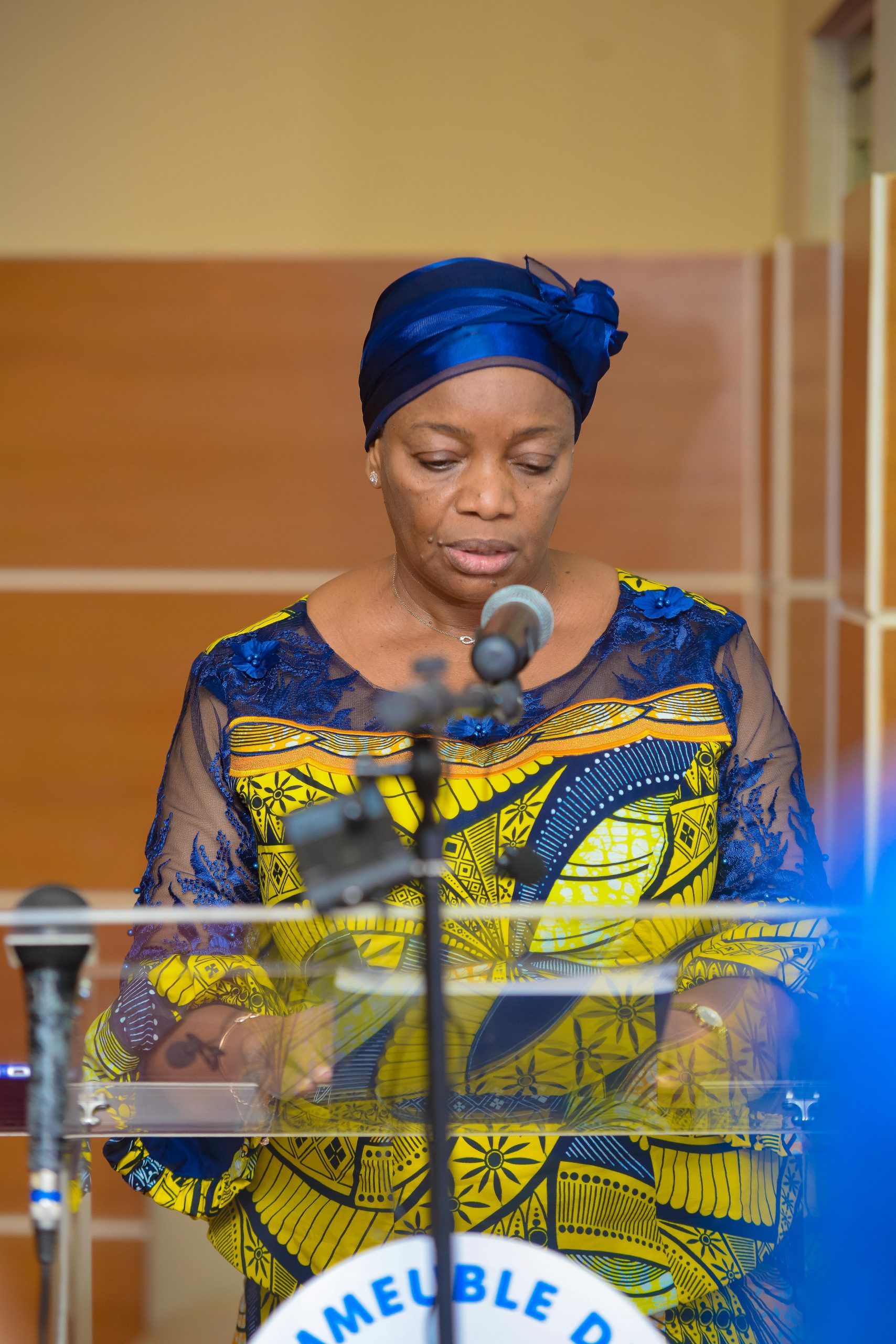 Soutien politique de haut niveau du second partenariat entre la RDC et ...